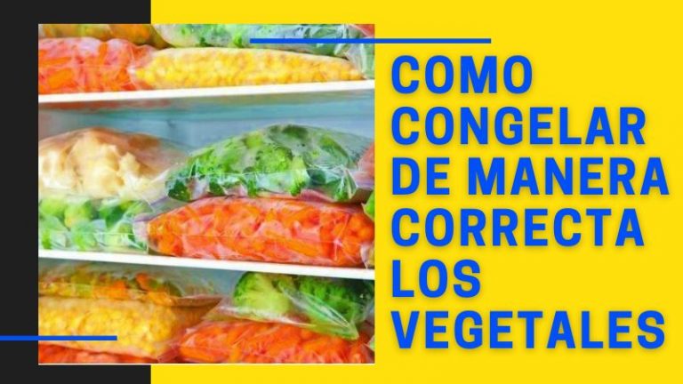 Como Congelar de Manera Correcta las Vegetales – hogarynatura.com